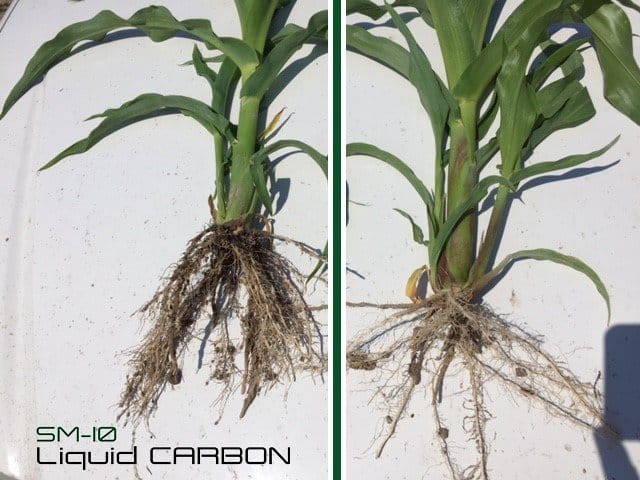 CarboN-10 - Humic Growth Solutions