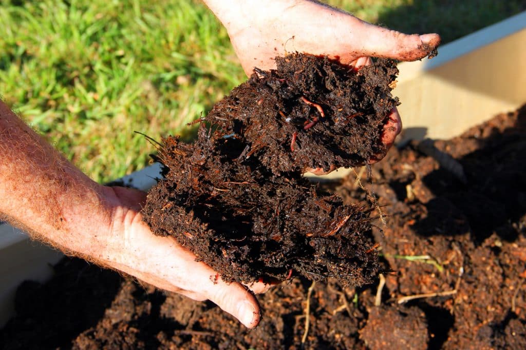 New Study Shows Organic Farming Traps Carbon in Soil to Combat Climate ...